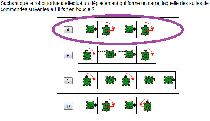 ICN en Seconde - Corrections Castor